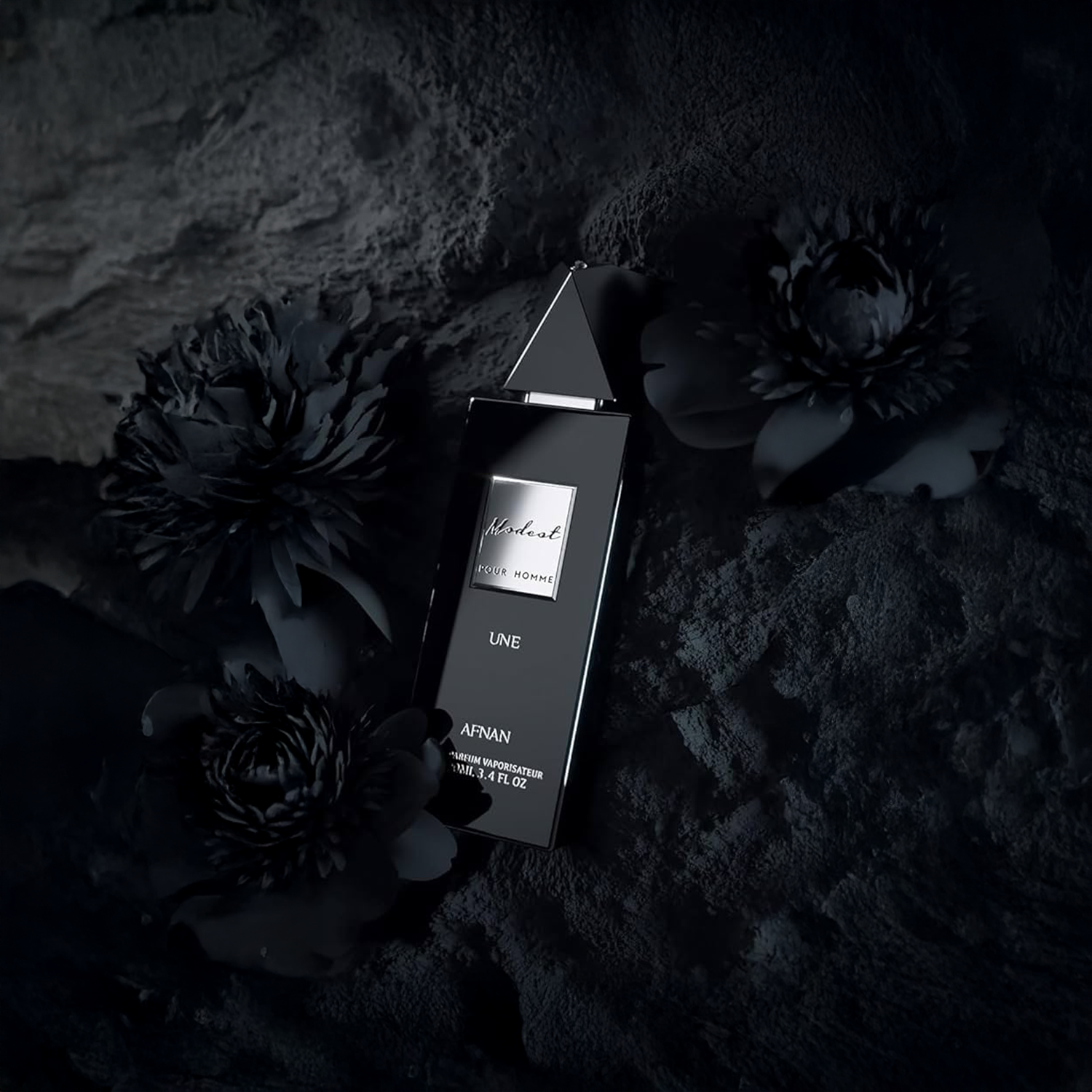 Modest Pour Homme by Afnan – Fougere Fragrance